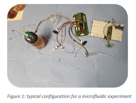 IVAM Blog - On the Road to Standardization in Microfluidics and Organ ...